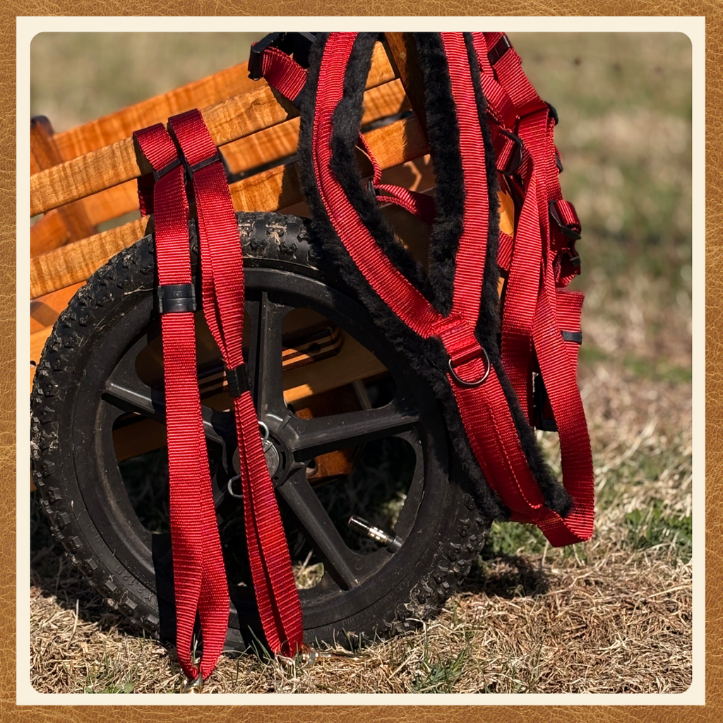 Classic Siwash Harness – Wainwright Cart Co.