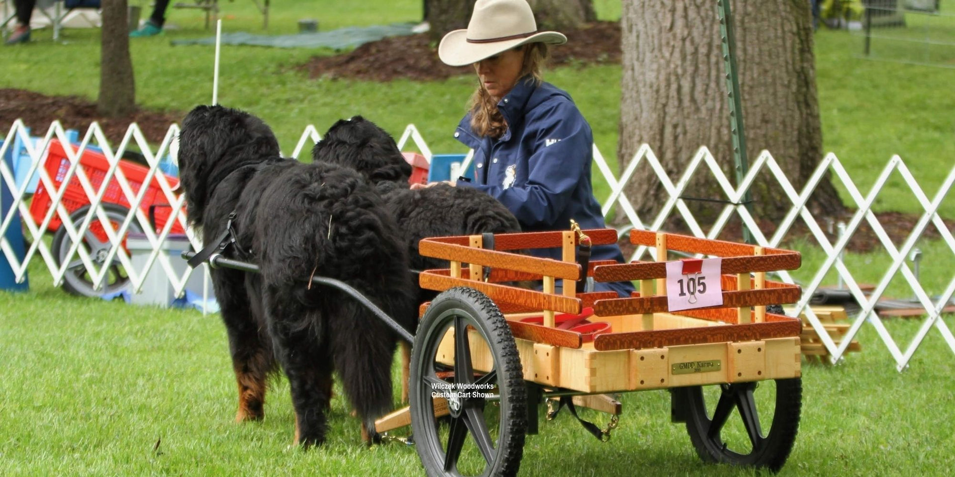 Wainwright Cart Co. | Heritage Carts & Gear for Draft Dogs