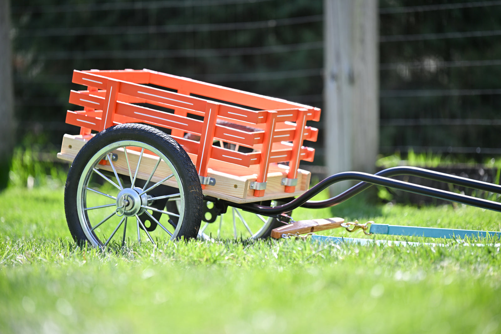 Wainwright Cart Co. | Heritage Carts & Gear for Draft Dogs