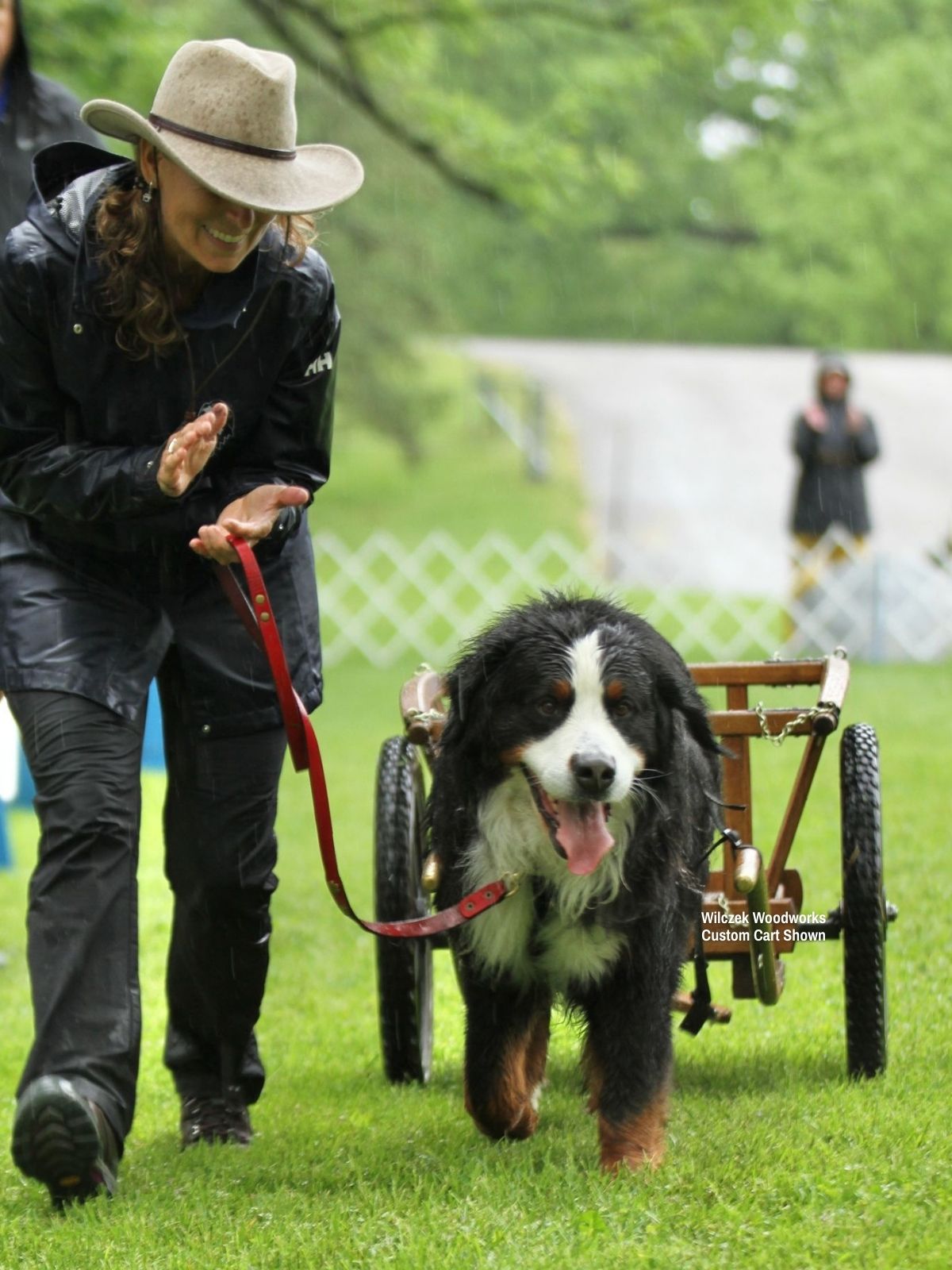 Wainwright Cart Co. | Heritage Carts & Gear for Draft Dogs